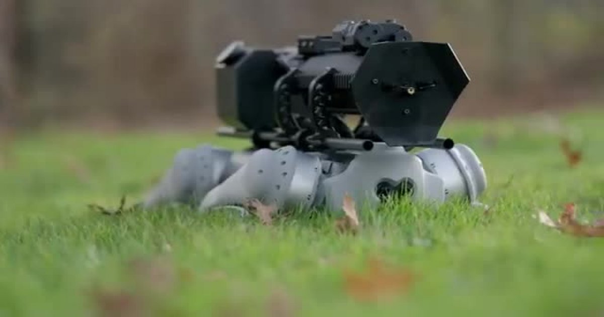 Thermonator Flamethrower Robot Dog Throwflame