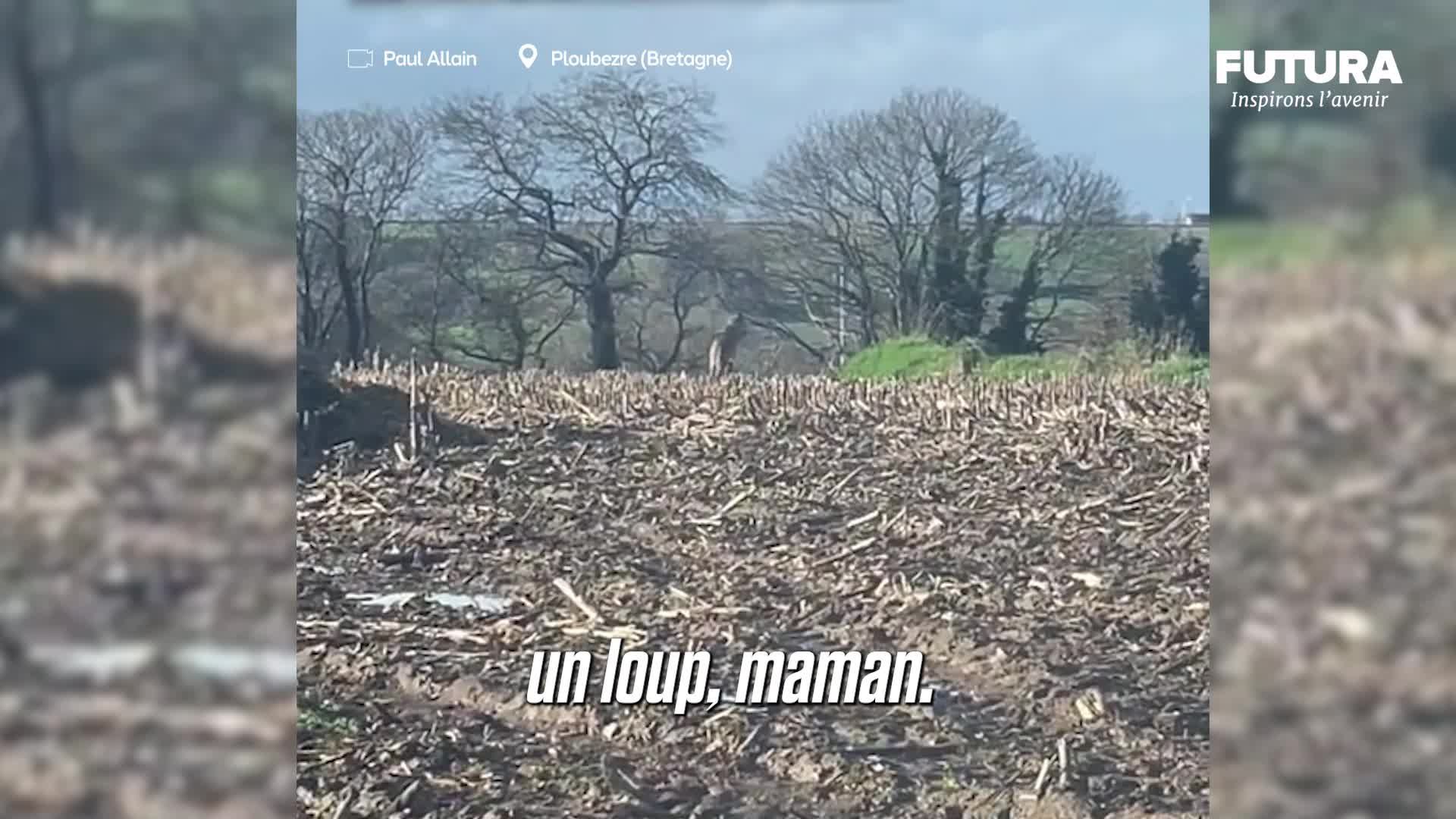 Instinctif épisode 2