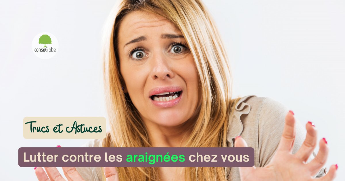 Trucs et Astuces. Lutter contre les araignées chez vous