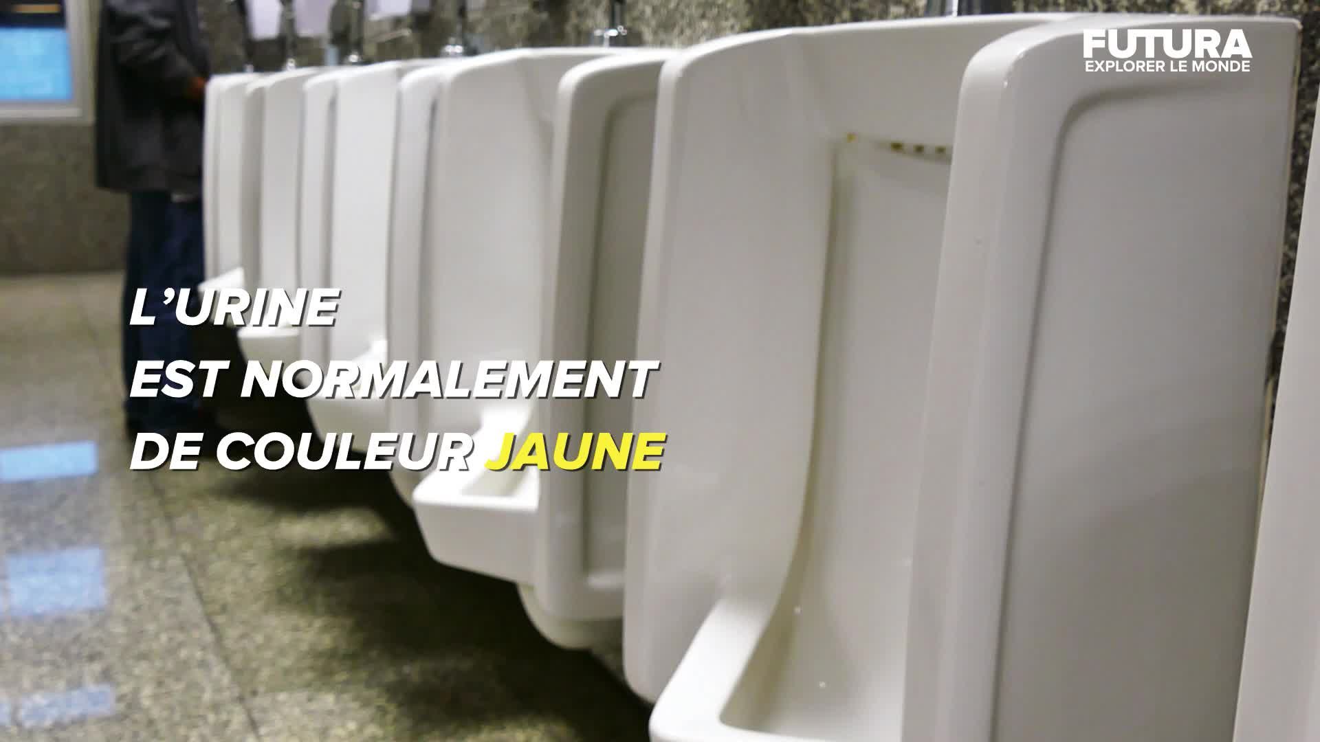 Que révèle la couleur de l'urine sur votre santé ? | Futura