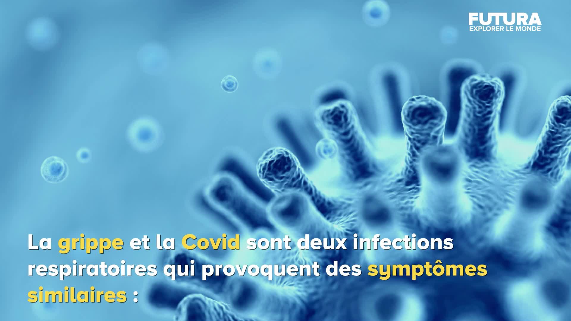 Comment la Covid va influer sur l'épidémie de grippe ? | Futura